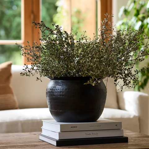 Bombay Chess Set – Greenslades Furniture